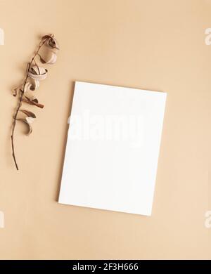 Top view of open magazine page with copy space on classic blue ...