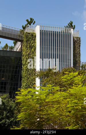 School of the Arts Singapore (SOTA) by WOHA, Singapore. Arts school for ...