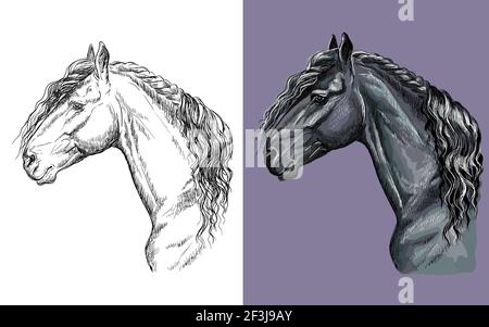 friesian horse printing pictures coloring pages