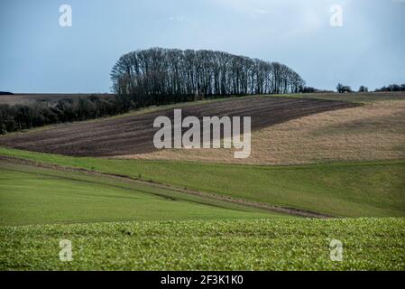 Pyecombe, March 13th 2021: Walking in the countryside at Pyecombe near ...