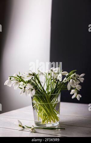 Flower behind a glass jar on black background Stock Photo - Alamy