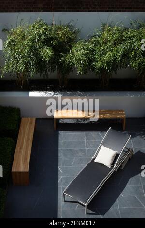 Ariel in hedge Stock Photo - Alamy