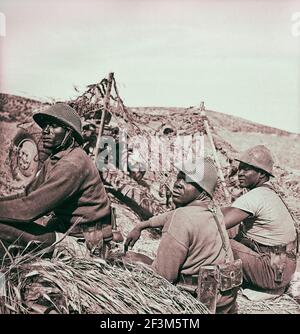 WW2 - Free French Troops in Africa salute the flag Stock Photo - Alamy