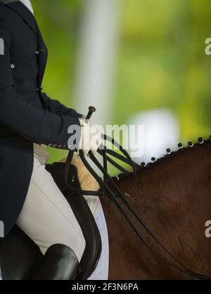 Close Up Hands holding Reins Horse Stock Photo - Alamy