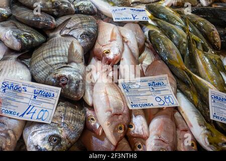 Varieties of fresh fish in market in Tavira, Algarve Portugal Stock ...