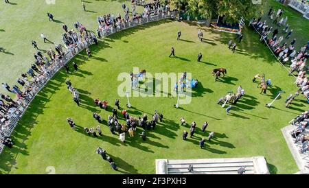 RACING AT ASCOT. THE ASCOT FINALE. THE MILES AND MORRISON OCTOBER ...