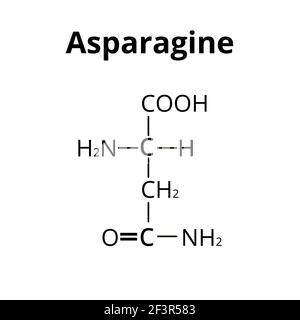 Asparagine - Asn - N Amino Acid molecular formula and chemical ...