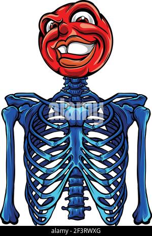 Skull Smiley Skeleton Human head front view. Human face model with open ...