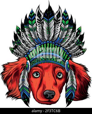 design of head dog with traditional Indian hat, vector illustration ...