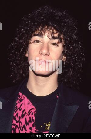 Meeno Peluce 1985 Credit: Ralph Dominguez/MediaPunch Stock Photo - Alamy