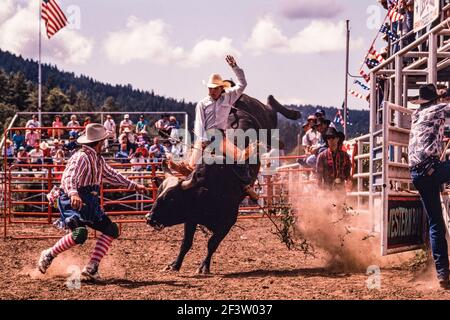 A professional rodeo clown or bullfighter in his colorful outfit at a ...