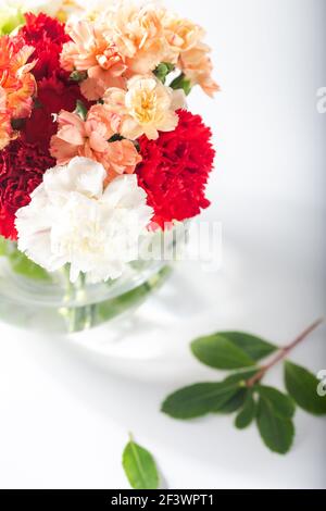 Freshly colored carnations in a vase full of water Stock Photo - Alamy