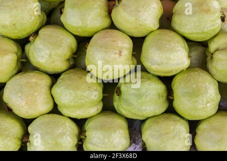 Three ripe guava fruits with green skin and vibrant pink flesh on ...