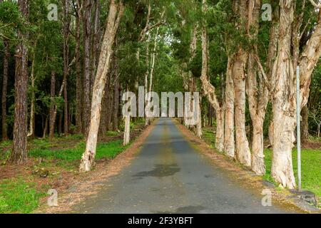 Alexandra Falls View Point Stock Photo - Alamy