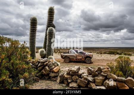 334 VAN MERKSTEIJN PETER (NLD), MARTON MACIEJ (POL), TOYOTA, auto, car ...
