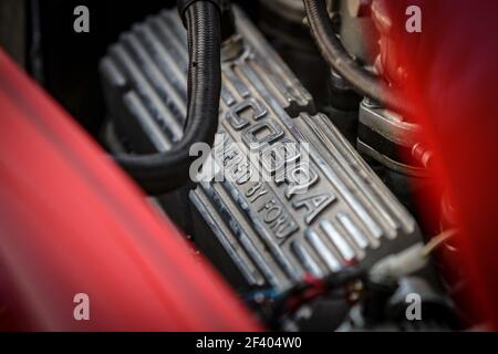 206 Ben GILL, David DIDCOCK, GBR, GBR, SHELBY Cobra 289 1965, Action ...