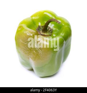 Rotten green bell pepper isolated on white background Stock Photo - Alamy