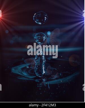 Colored water drop, circle ripples, splash of water, closeup Stock ...