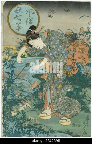 Seven Autumn Plants Stock Photo - Alamy