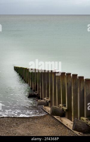 The shingle beach & groynes of Eastbourne beach in Eastbourne East ...