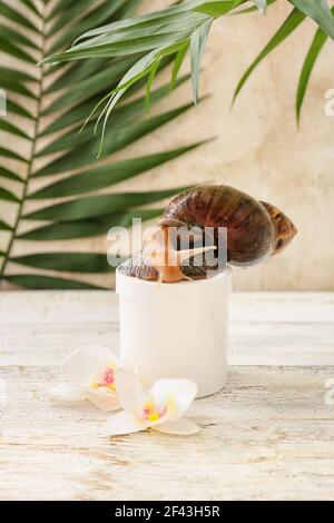 Giant Achatina snail, flowers and cosmetics on wooden table Stock Photo ...