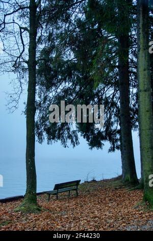 Bench Overlooking a Calm Lake with Trees Reflecting in the Water Stock ...