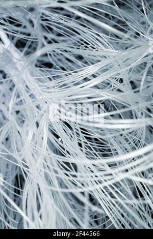 Bunch of tangled computer data cables. Shallow depth of field Stock ...