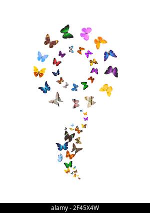 Decorative flying butterflies pattern in heart shape isolated on white ...