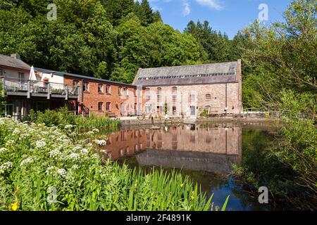 Soudley Ponds in Forest of Dean, Gloucestershire England UK. River ...