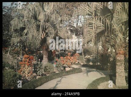 Buitenzorg (Bogor), Java / Indonesia (?): Botanical Garden with exotic ...