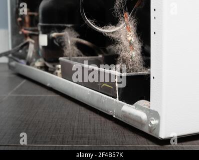 Corrosion on fridge copper pipe, close up. Dust and pet hair clumps ...