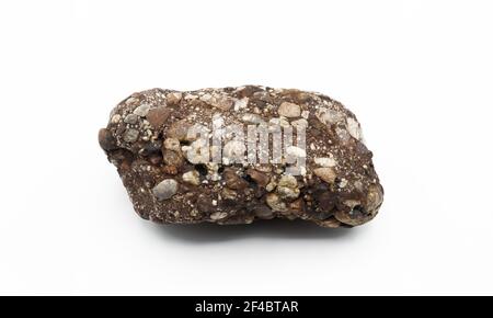 Sedimentary Conglomerate Rock Specimen Stock Photo - Alamy
