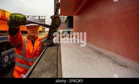Semi Truck Driver Wearing Gloves Behind the Wheel Getting Ready to Hook ...