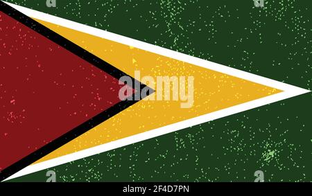 Guayana flag country isolated vector illustration design Stock Vector ...