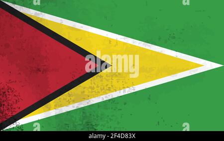 Guayana flag country isolated vector illustration design Stock Vector ...