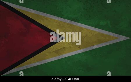 Guayana flag country isolated vector illustration design Stock Vector ...