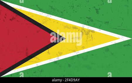 Guayana flag country isolated vector illustration design Stock Vector ...
