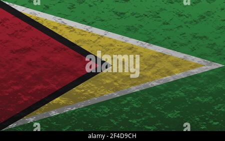 Guayana flag country isolated vector illustration design Stock Vector ...