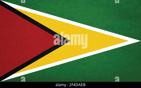 Guayana flag country isolated vector illustration design Stock Vector ...