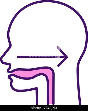 Oral cavity, pharynx and esophagus color icon. Upper section of ...