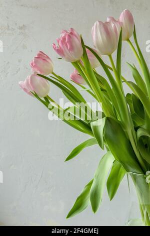 Bouquet of delicate pink and white tulips in a vase in front of an ...