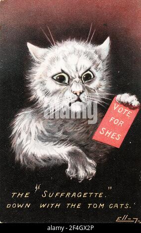The Suffragette Down with the Tom Cats. - Women's suffrage in the ...