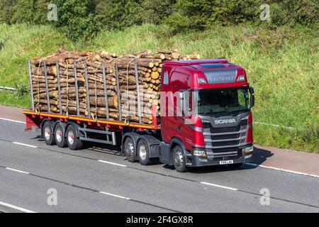 Timber truck transporting cut trees from forest along highway ...