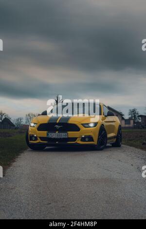 FORD MUSTANG (sick wallpaper) some sick photos, stay tuned for more ...