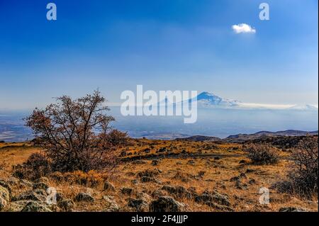A beautiful view of an Ararat mountain valley with apricot gardens ...
