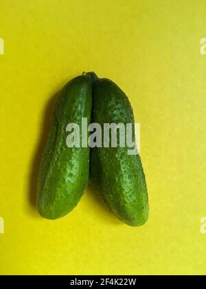 Two fresh green cucumbers with yellow flowers on grey stone background ...
