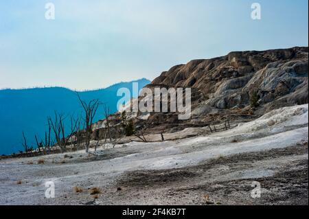 Cavern Terrace a dead terrace in Mammoth Hot Springs Yellowstone ...