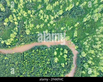 Aerial panoramatic view of traditional Dayak Longgie village in heart ...