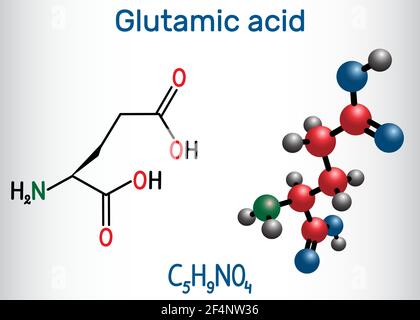Glutamic acid (L- glutamic acid, Glu, E) aliphatic amino acid molecule ...