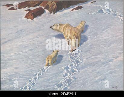 Polar bear family by Richard Friese Stock Photo - Alamy